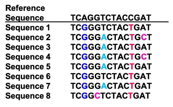 SOLVED: The reference sequence below was determined from sequencing a ...
