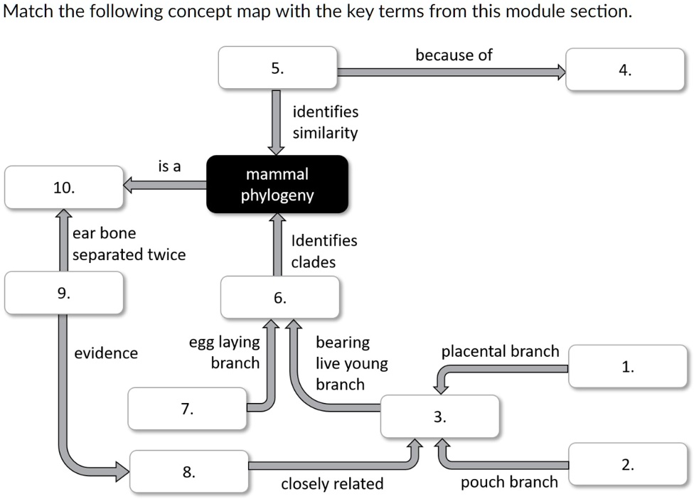 SOLVED: Texts: options to choose from: common ancestor, monotreme ...
