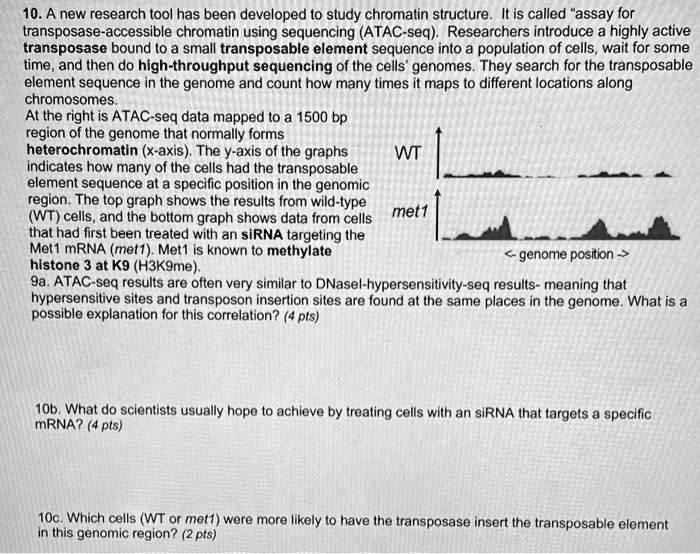 SOLVED: A new research tool has been developed to study chromatin structure. It is called "assay ...
