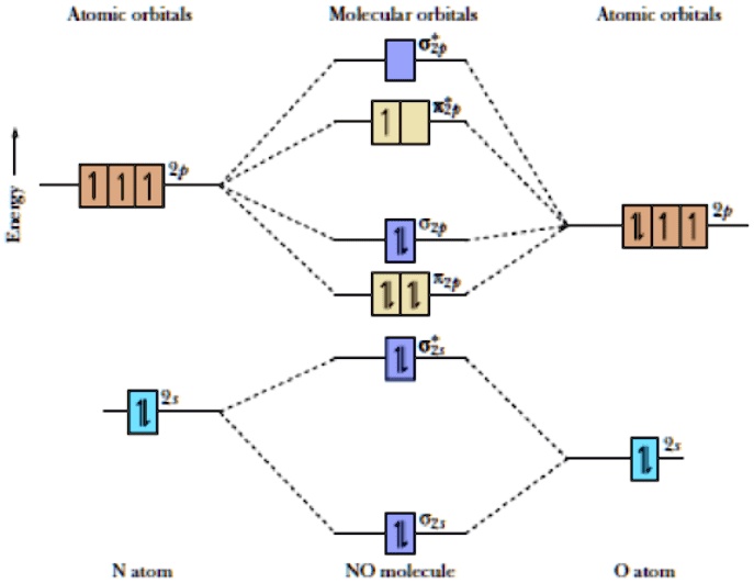 Solved The Molecular Orbital Diagram Of No Shown In The Figure Below