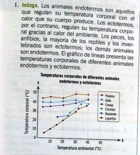 SOLVED: Cuáles animales son endotermos y cuáles son ectotermos? ¿cómo ...