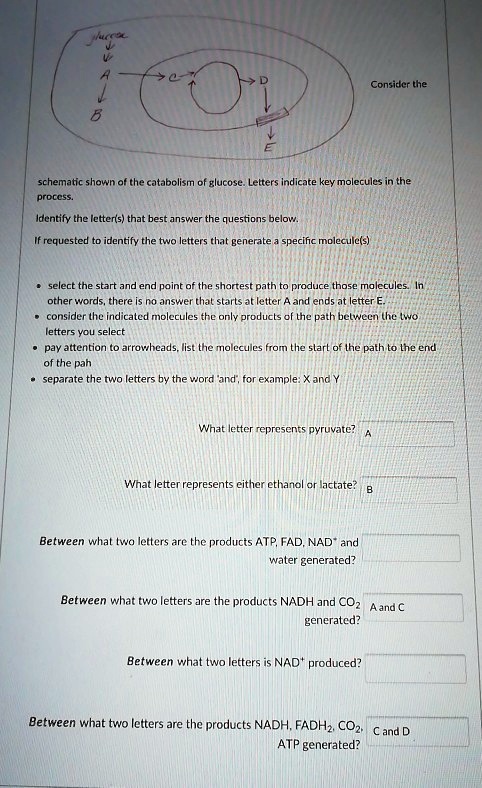 SOLVED:Considler the schematic shawn Thealaboliam procces allcose ...