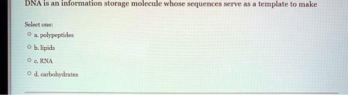 SOLVED: DNA is an information storage molecule whose sequences serve as ...