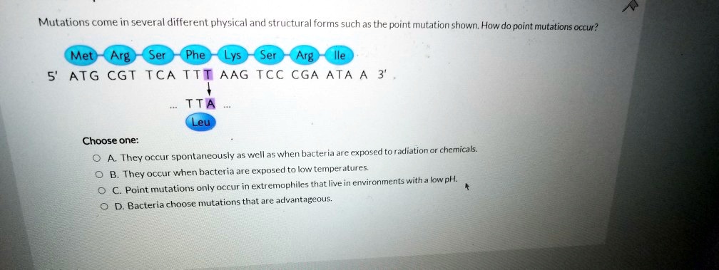 SOLVED: Mutations come in several different physical and structural ...