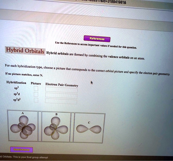 SOLVED: 1n1id=3189419818 Reforancos Uec Rclerences iccest Important ...