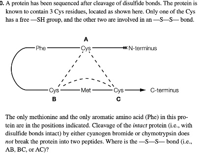protein has been sequenced alter cleavage of disulfide bonds the ...