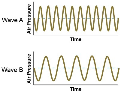 look at the two wave diagrams which best describes the difference ...