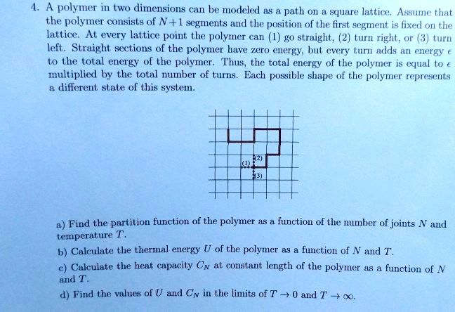 SOLVED: A polymer in two dimensions can be modeled as a path on a ...
