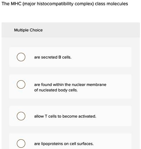 The MHC (major histocompatibility complex) class molecules Multiple ...