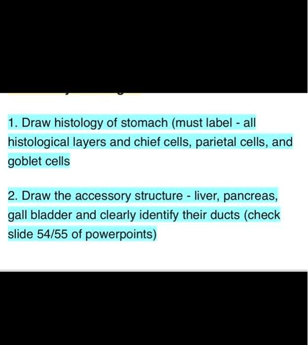 SOLVED: Draw histology of the stomach (must label all histological ...