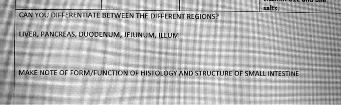 SOLVED: Histology Lab CAN YOU DIFFERENTIATE BETWEEN THE DIFFERENT ...