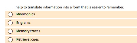 help to translate information into a form that is easier to remember ...