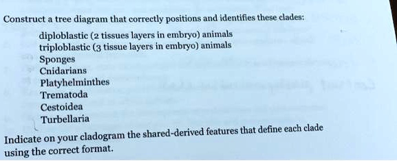 SOLVED: Construct a tree diagram that correctly positions and ...