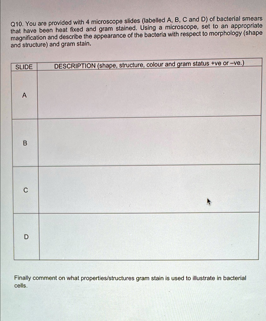q10 you are provided with 4 microscope slides labelled a b c and d of bacterial smears that have ...