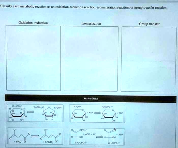Classify each metabolic reaction as an oxidation-reduction reaction ...