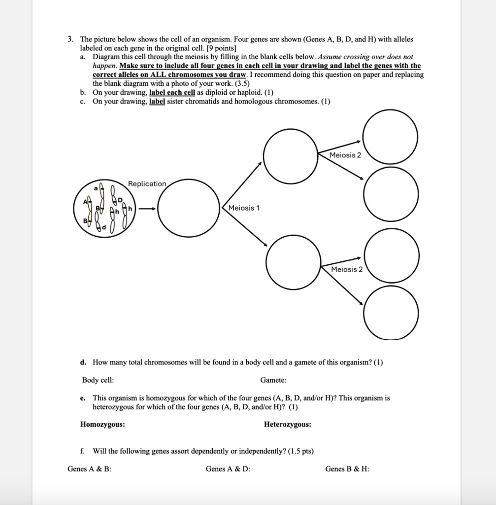 [GET ANSWER] 3. The picture below shows the cell of an organism. Four ...