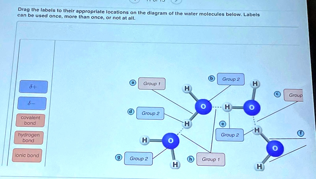 [GET ANSWER] Drag the labels to their appropriate locations on the ...