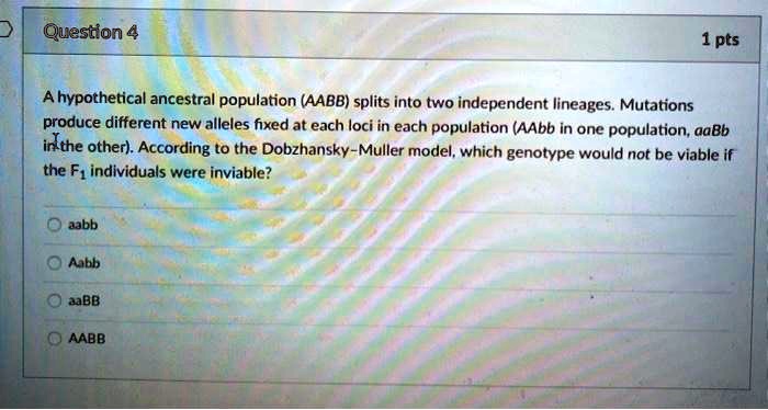 question 4 1 pts a hypothetical ancestral population aabb splits into ...