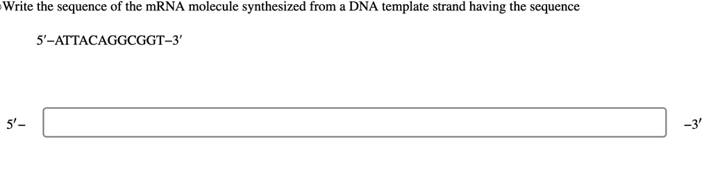 the provided text contains several errors including typographical grammatical and formatting ...