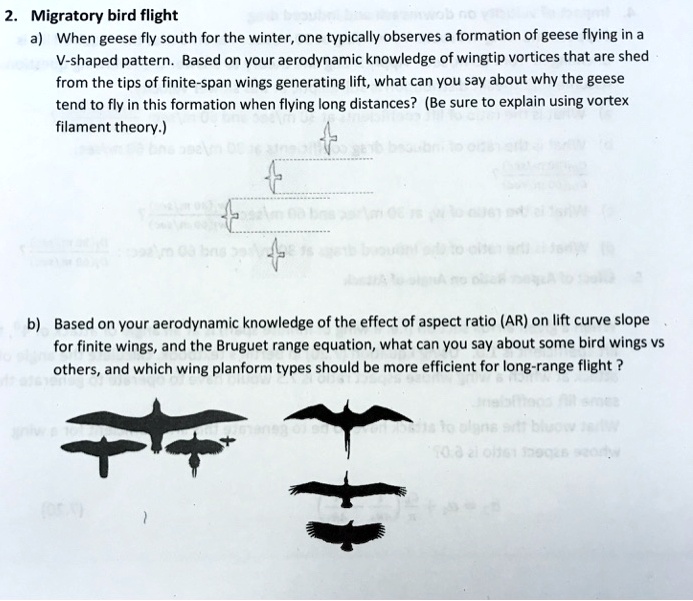 VIDEO solution: 2. Migratory bird flight When geese fly south for the ...