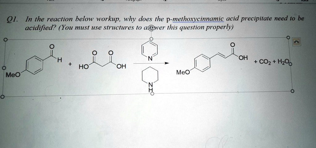 SOLVED: Ql. In the reaction below workup, why does the p ...