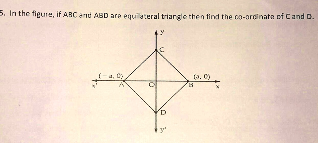 5 In The Figure If Abc And Abd Are Equilateral Triangle Then Find The Co Ordinate Of C And D