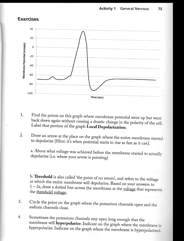 SOLVED: Activity 1: General Nervous Exercises 40 20 -20 Membrane ...