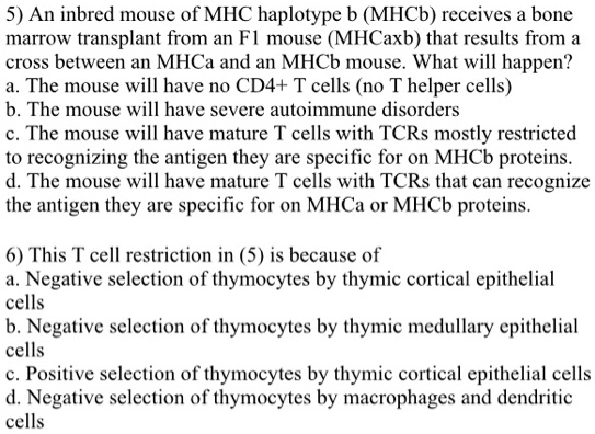 SOLVED: An inbred mouse of MHC haplotype b (MHCb) receives a bone ...