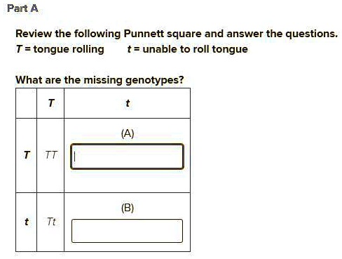 SOLVED: 'Someone Plz Help me :) Pant A Review the following Punnett ...