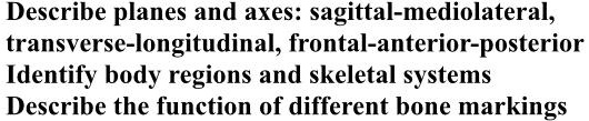 Describe planes and axes: sagittal-mediolateral, transverse ...