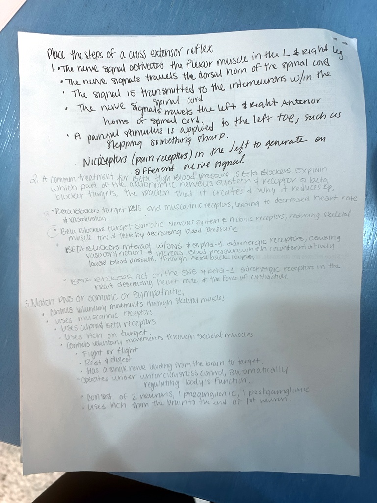 place the steps of a cross extensor reflex 1 the nerve signal activetes ...