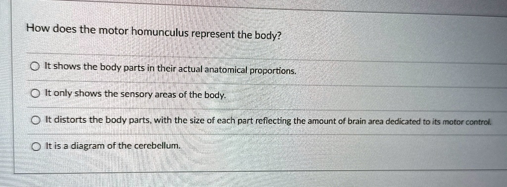 How does the motor homunculus represent the body? ? It shows the body ...
