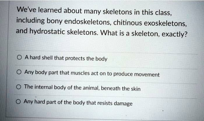 weve learned about many skeletons in this class including bony ...
