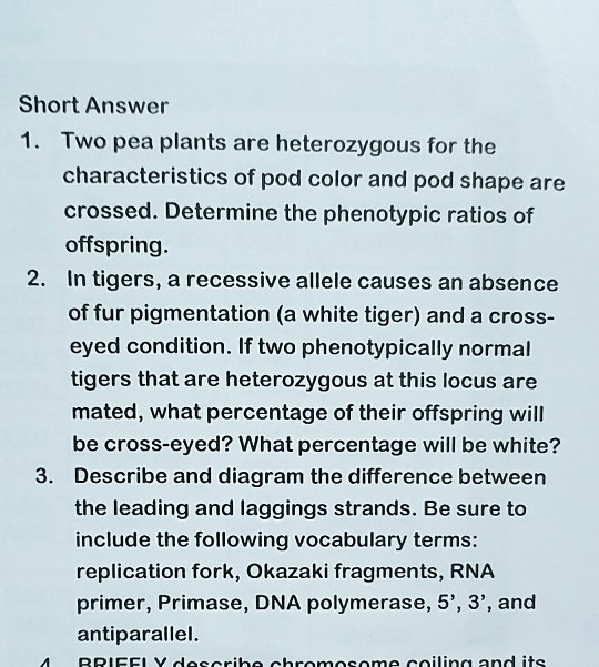 Short Answer 1. Two pea plants are heterozygous for the characteristics ...