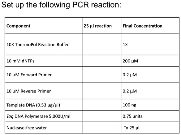 SOLVED: Set up the following PCR reaction: Component 25 Î¼l reaction ...