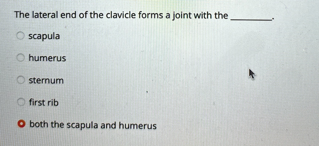 the lateral end of the clavicle forms a joint with the o scapula ...