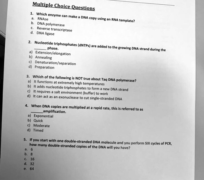 SOLVED: Multiple Choice Questions Which enzyme can make an RNA copy ...