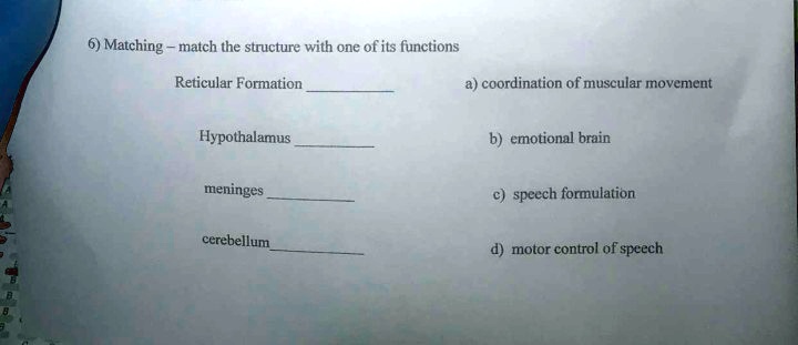 SOLVED: Matching match the structure with one of its functions Reticular Formation a ...