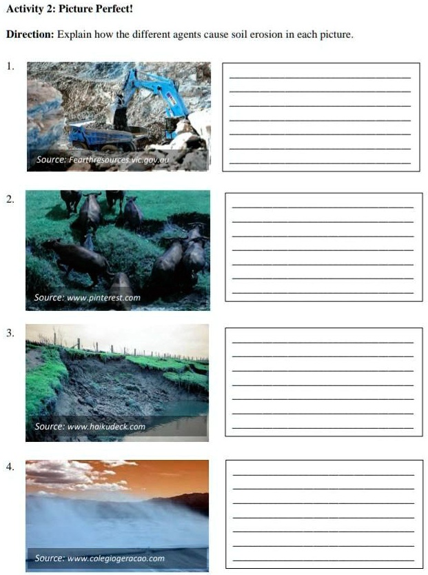 Activity 2: Picture Perfect! Direction: Explain how the different ...