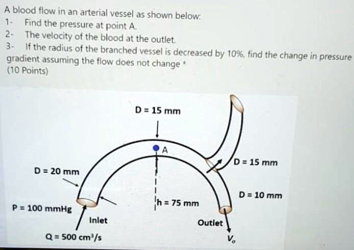 SOLVED: A blood flow in an arterial vessel as shown below: 1. Find the ...