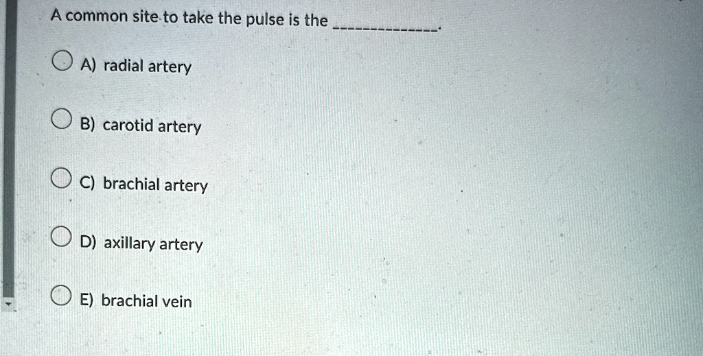 a common site to take the pulse is the a radial artery b carotid artery ...