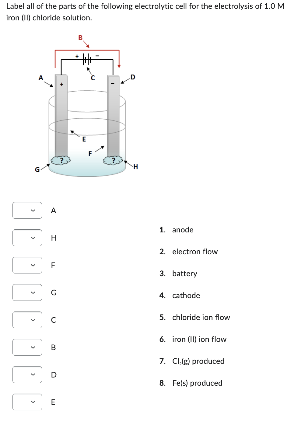 Label all of the parts of the following electrolytic cell for the ...