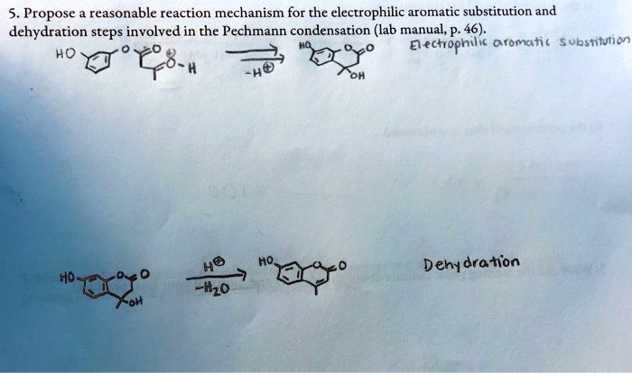 SOLVED: 5. Propose reasonable reaction mechanism for the electrophilic ... SOLVED: 5. Propose reasonable reaction mechanism for the electrophilic ...