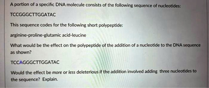 SOLVED: A portion of a specific DNA molecule consists of the following sequence of nucleotides ...