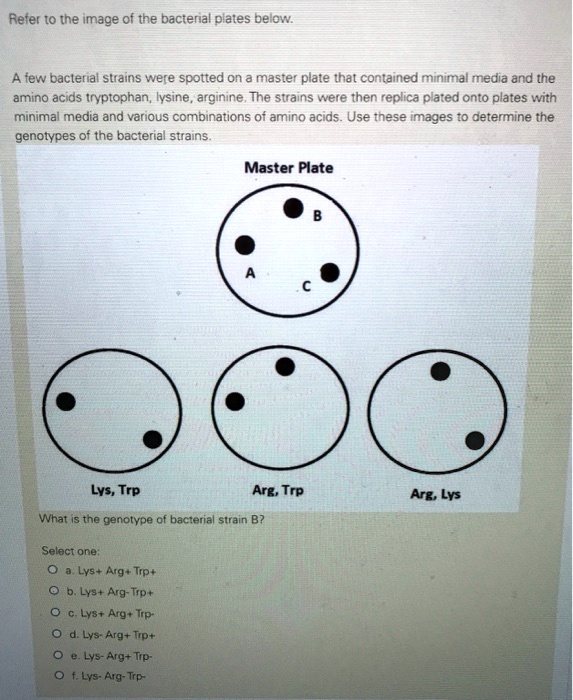 refer t0 the image of the bacterial plates below a few bacterial ...