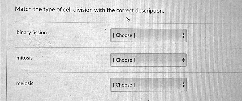 Match the type of cell division with the correct description. binary ...