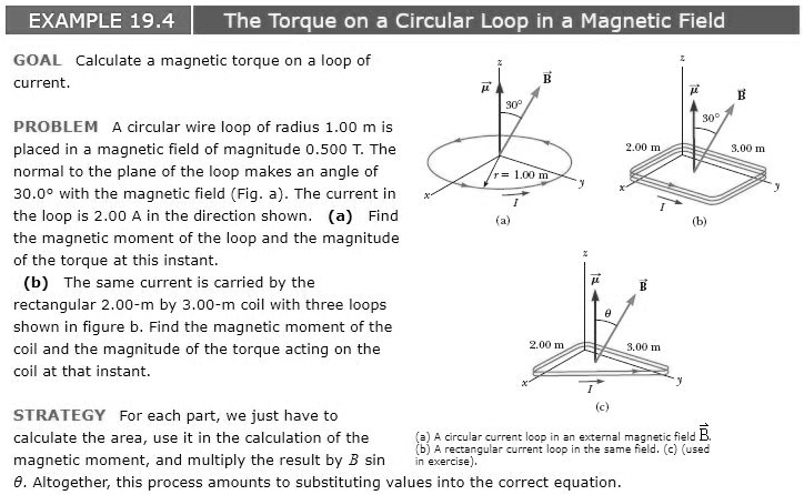 EXAMPLE 19.4 The Torque on a Circular Loop in a Magnetic Field GOAL ...