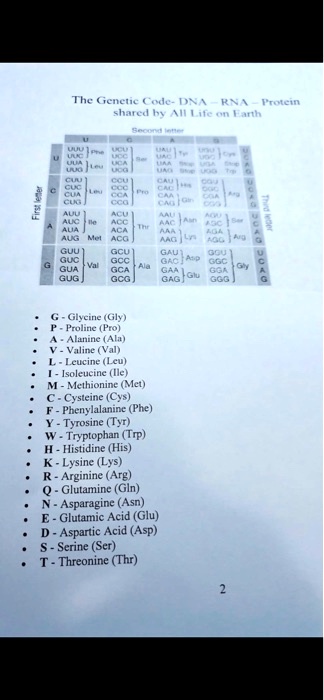 SOLVED: The Genetic Code - DNA Transcription shared by Lucan Earth and ...