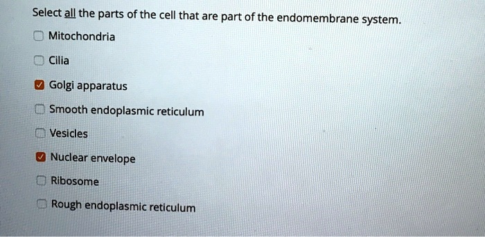 SOLVED: Select all the parts of the cell that are part of the ...
