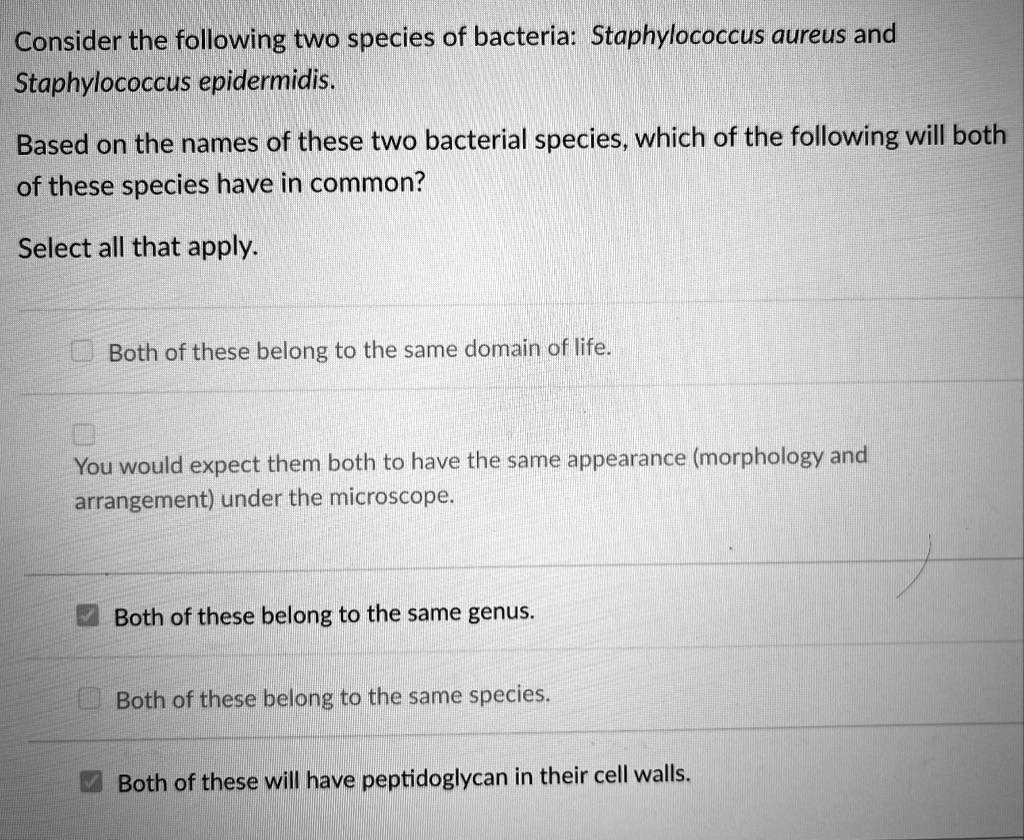 SOLVED: Consider the following two species of bacteria: Staphylococcus ...